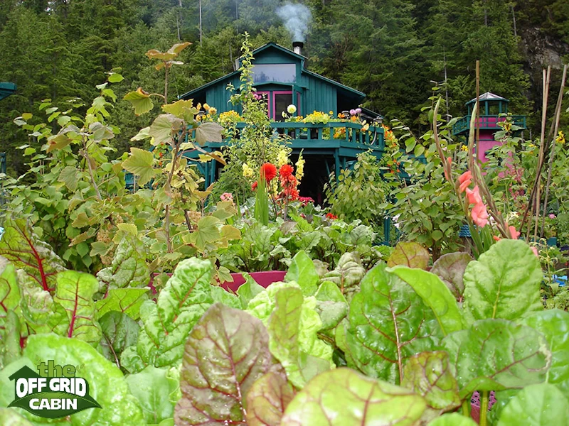 Living Off The Grid On A Self Sustaining Homemade Island.