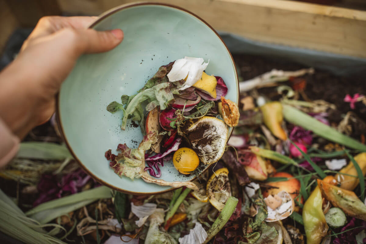 Mastering Off-Grid Living: Essential Tips For A Sustainable Lifestyle ...