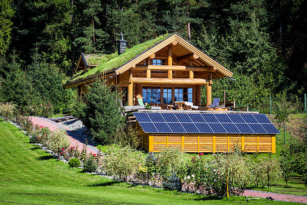 Harnessing The Sun: A Beginner's Guide To Off-Grid Solar Systems | The ...